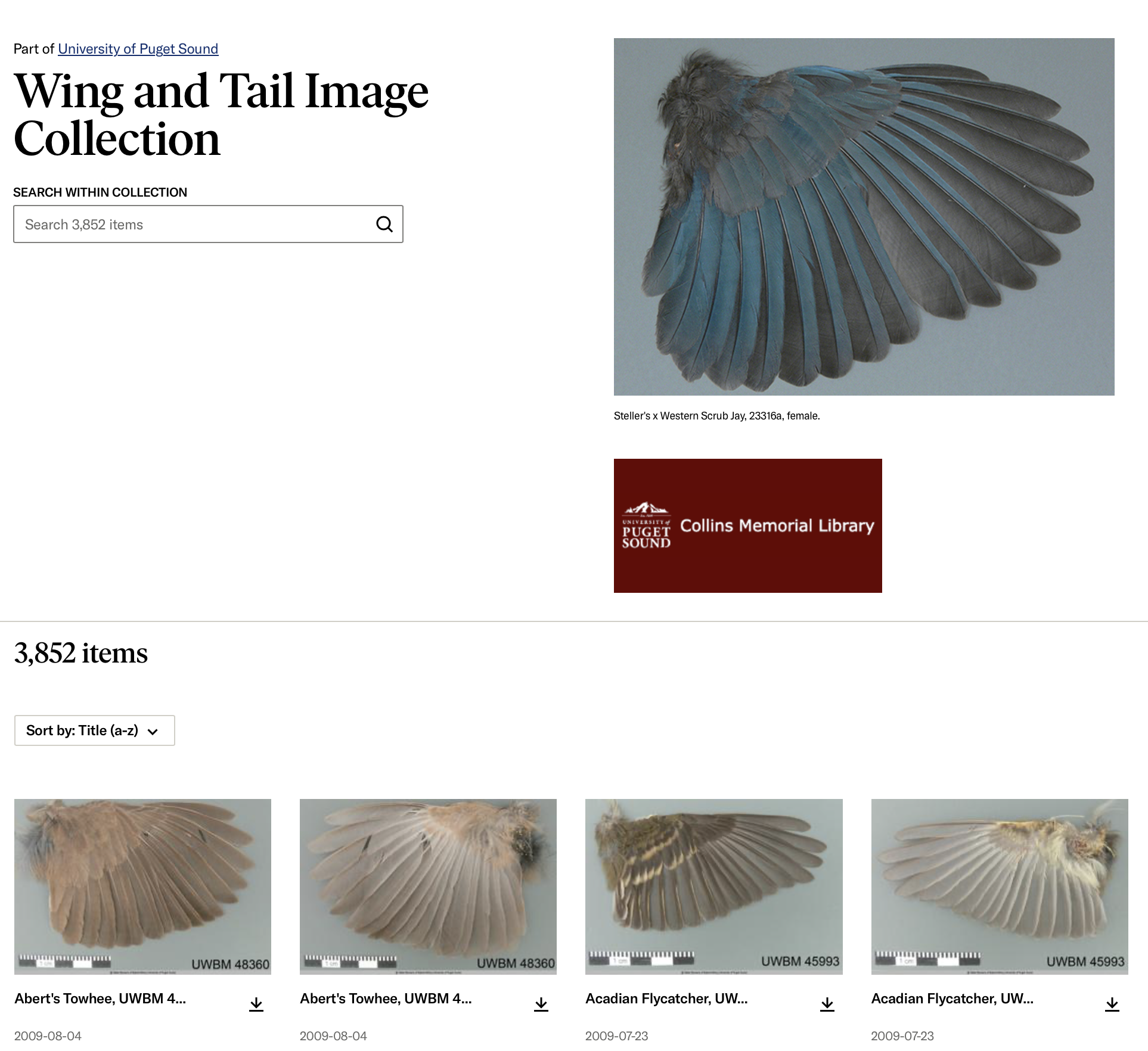 How to find reference photos for (almost) every feather – Found Feathers